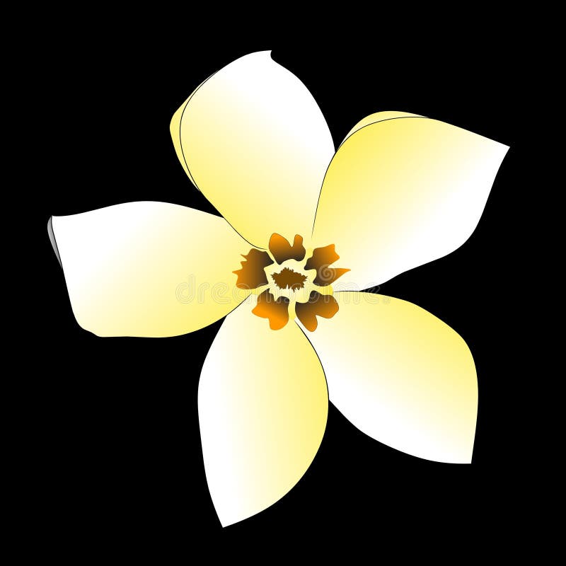 Animated Silhouette Image of a Flower with White and Yellow Petals ...