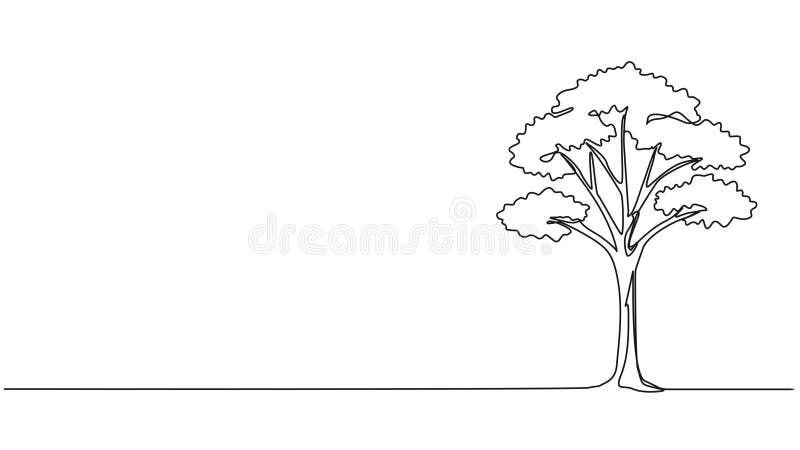 Animated Single Line Drawing of a Broad-leafed Tree Stock Footage ...