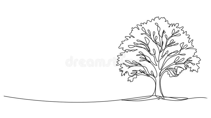 Animated Single Line Drawing of Broad-leafed Tree Stock Video - Video ...