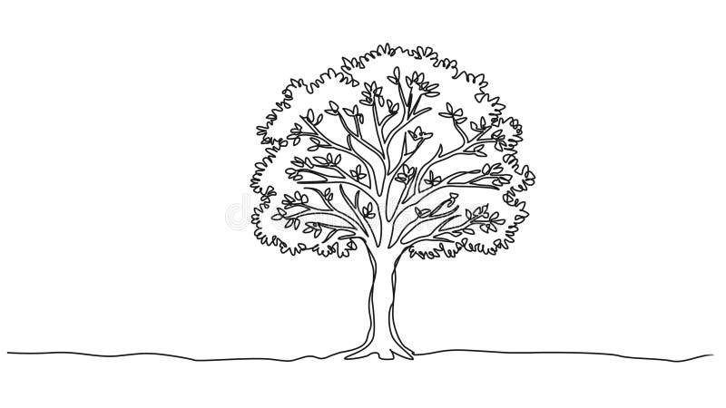 Animated Single Line Drawing of a Broadleaf Tree Stock Footage - Video ...