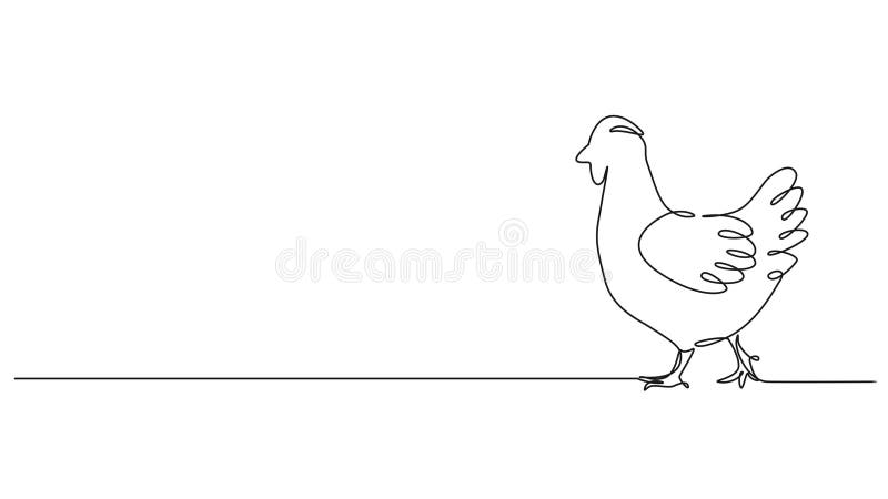 Animated Single Line Drawing of a Chicken Stock Footage - Video of ...