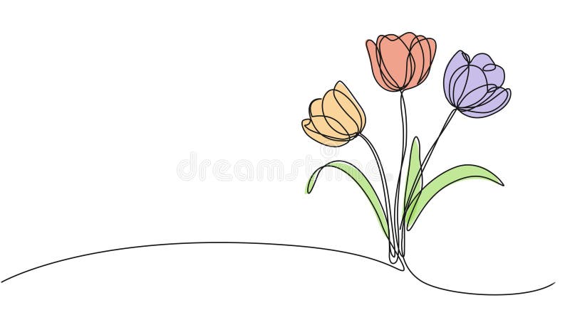 Animated Single Line Drawing of Colorful Tulips Stock Video - Video of ...