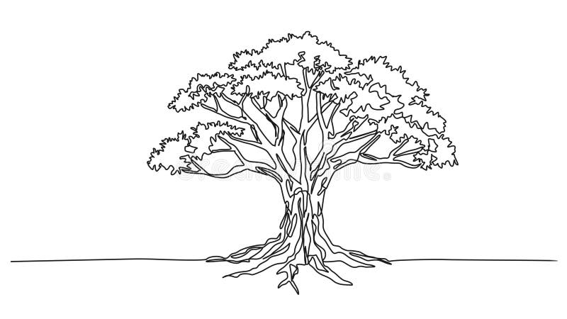 Animated Single Line Drawing of Old Broad-leafed Tree Stock Footage ...