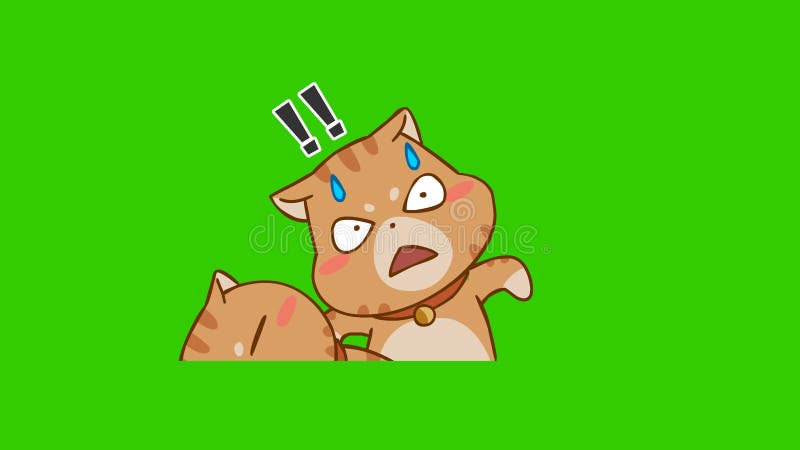 Animated Surprised Cat with Green Screen Background Stock Footage ...