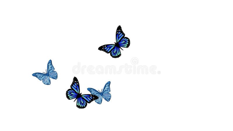 Animated Video - Blue Butterflies Stock Video - Video of light, funny ...