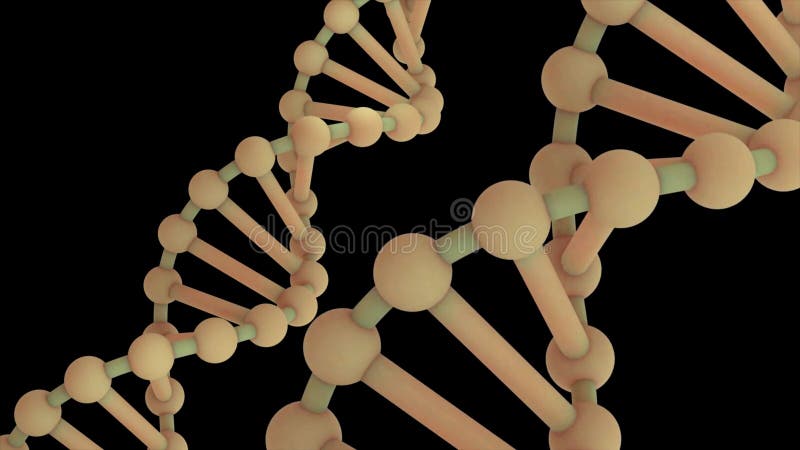 An Animated Visualization Depicting the Structure of the DNA Helix Set ...