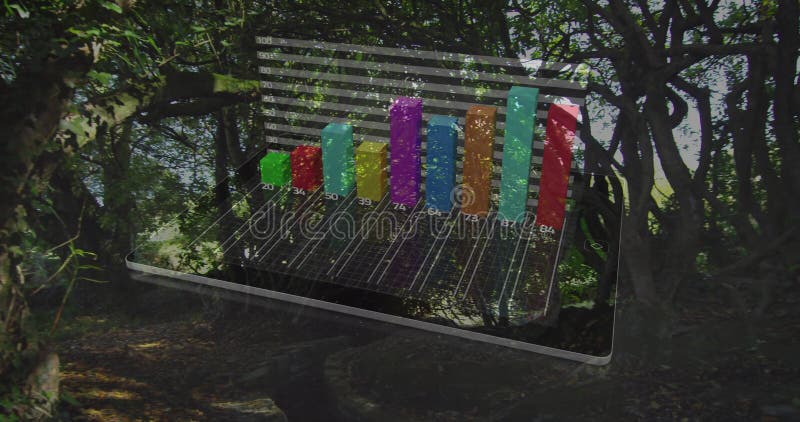 Animating Bar Graph Over Forest Background with Sunlight Filtering ...