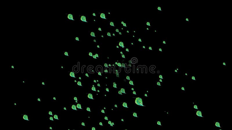 Animation with Alpha Channel in the Form of Leaves Flying Trees Stock ...