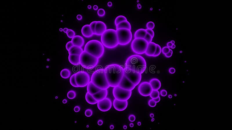 Animation of Bacteria Under Microscope. Design. Microbes or Infected ...