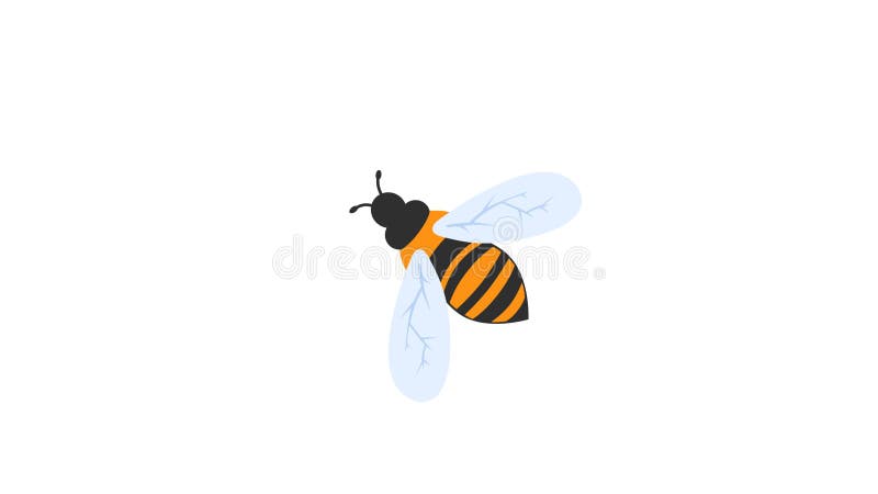 Animation Bee Flies and Flaps Its Wings. 2d Motion Stock Footage ...