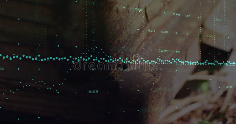 Animation with Bee on Tree Trunk, Data Visualization Overlay with Blue ...