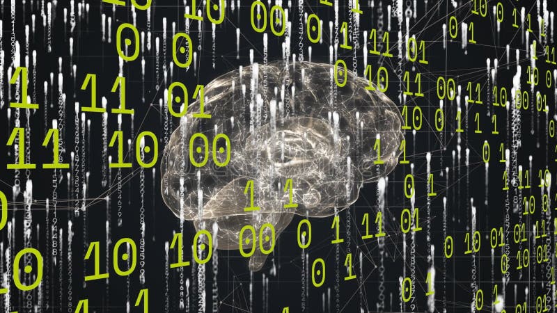 Animation of Binary Code and Brain on Black Background Stock Video ...