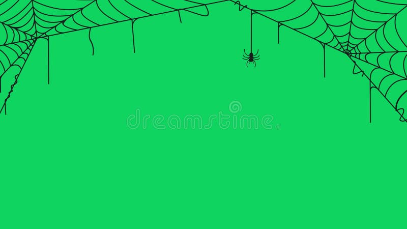 Animation of Black Spider Hanging on Web on Green Screen. Stock Video ...