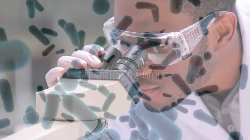 Animation of Blood Cells Over Diverse Scientists Checking Samples Using ...