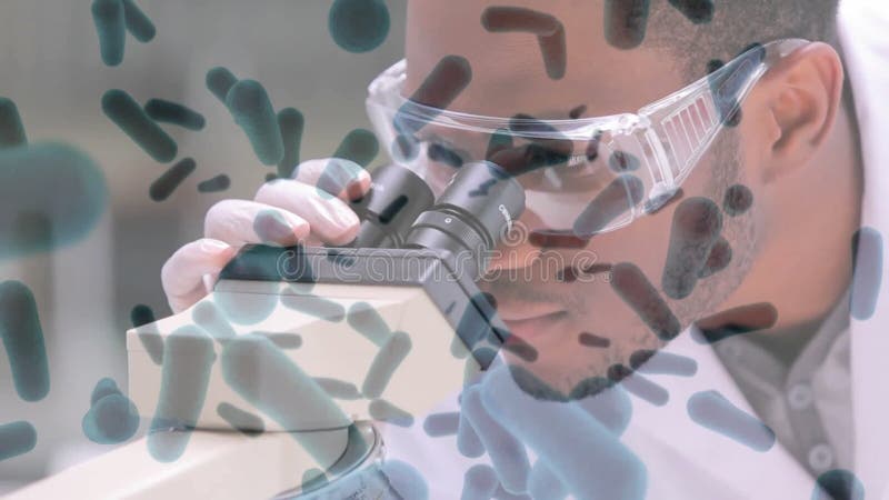 Animation of Blood Cells Over Diverse Scientists Checking Samples Using ...