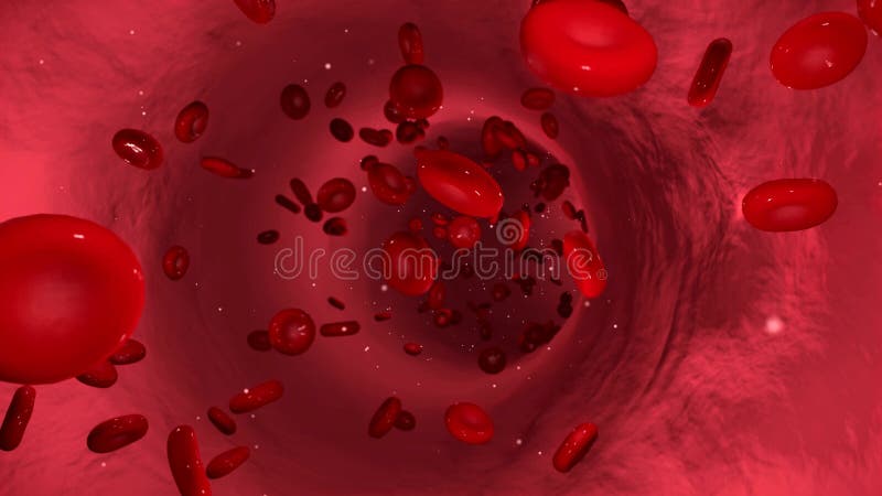Animation of Bloodstream with Blood Cells Stock Footage - Video of ...