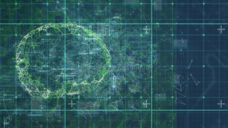 Animation of Brain and Green Data Processing Over Grid Stock Footage ...
