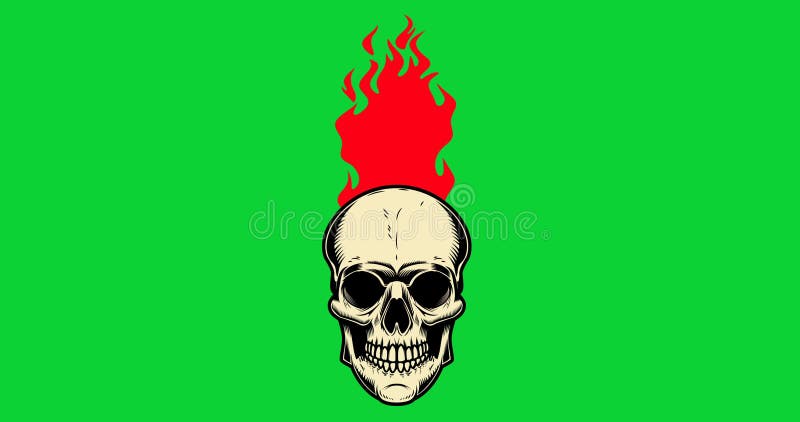 Animation of Burning Human Skull with Fire Isolated on Green Background ...