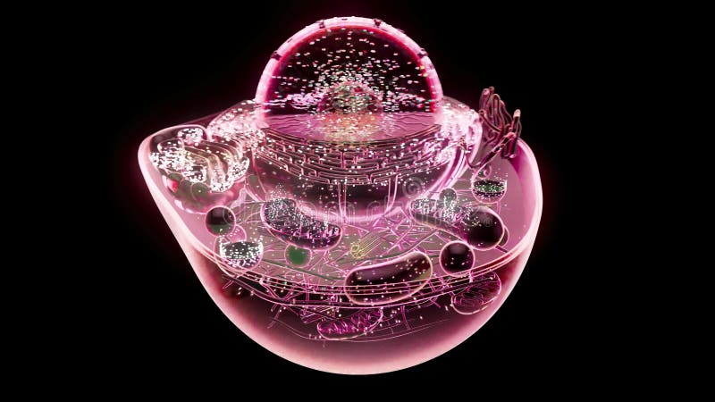 Animation of the Cell and the Mitochondria Stock Video - Video of ...