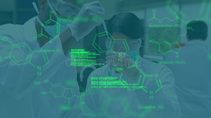 Animation of Chemical Formulas and Data Processing Over Diverse Female ...