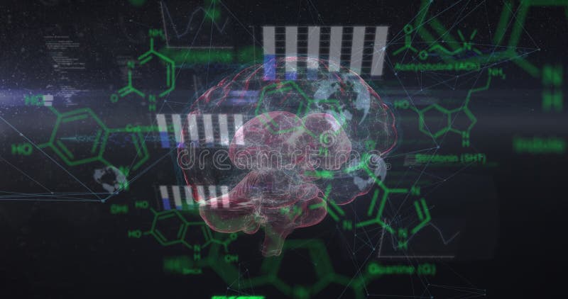 Animation of Chemical Formulas and Data Processing Over Rotating Brain ...