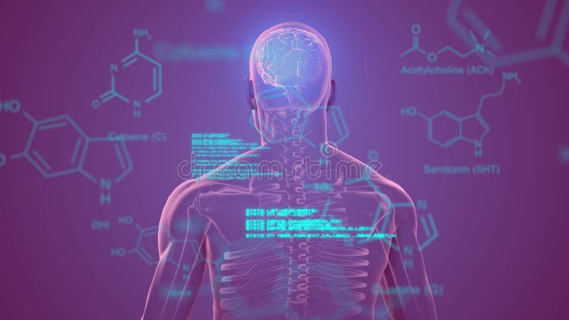 Animation of Chemical Formulas and Data Processing Over Rotating Human ...