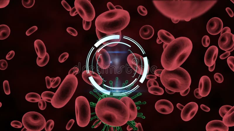 Animation of Circular Scanner Rotating Over Red Blood Cells Stock ... Animation of Circular Scanner Rotating Over Red Blood Cells Stock ...