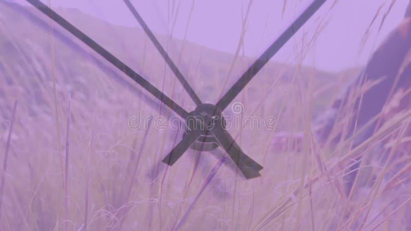 Animation of Clock Ticking Over Meadow Background Stock Footage - Video ...