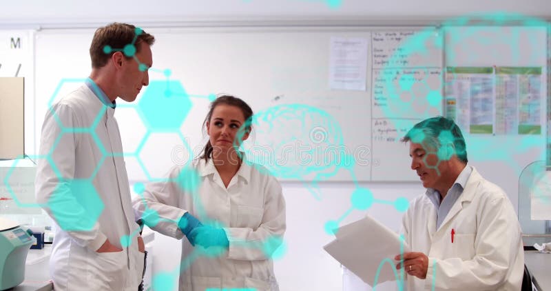 Animation of Computer Language, Brains Over Diverse Scientists ...