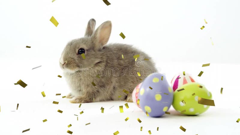 Animation of Confetti Falling Over Rabbit with Easter Eggs on White ...