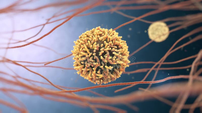 Animation 3d Des Globules Blancs Banque De Vidéos - Vidéo du biologie ...