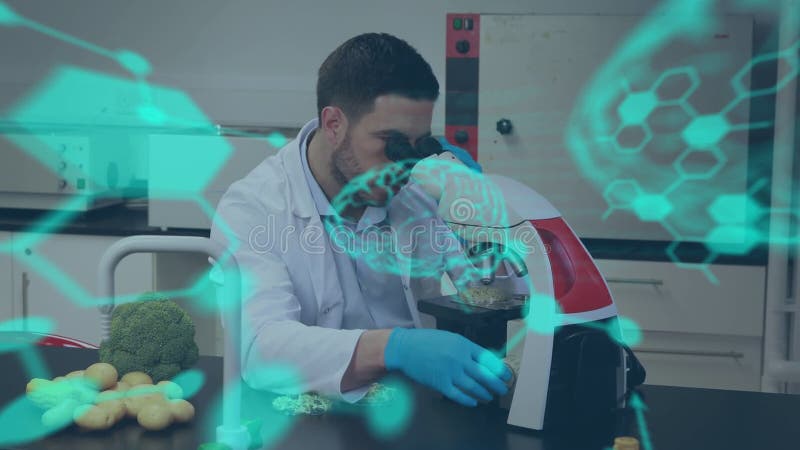 Animation of Data Processing, Digital Human Brain Model and Molecules ...