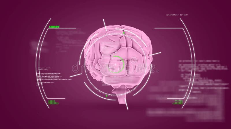 Animation of Data Processing Over Brain and Scope Scanning Stock Footage - Video of brain ...