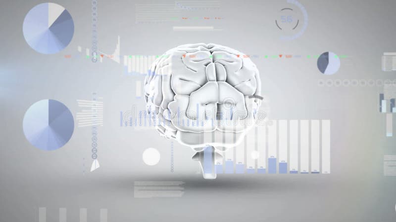 Animation of Data Processing Over Human Brain on Grey Background Stock ...