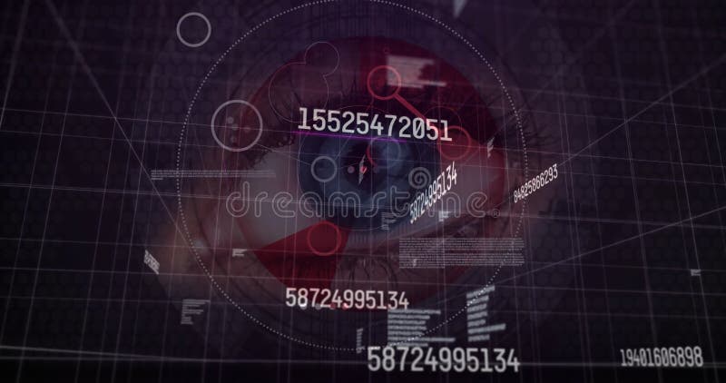 Animation of Data Processing Over Human Eye Stock Footage - Video of ...