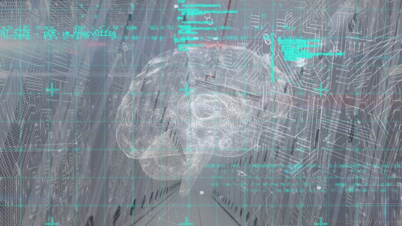 Animation of Data Processing and Spinning Human Brain Against Computer ...