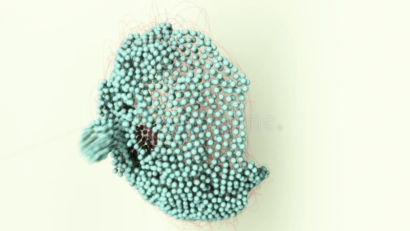 Animation Depicting the Formation of a Molecular Structure Stock Video ...