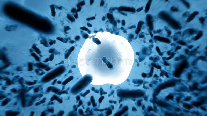 Animation Depicts Bacteria Interacting with Immune Cells in Blue Liquid ...