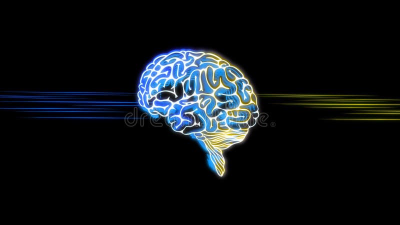 Animation Design of Human Brain Receiving Input from Both Logical and ...
