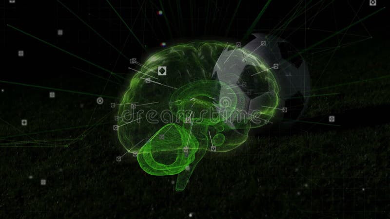 Animation of Digital Brain Model with Data Points and Connections on ...