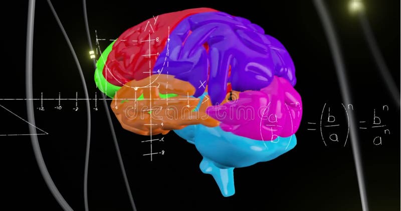 Animation of Digital Brain Spinning Over Mathematical Equations Stock ...