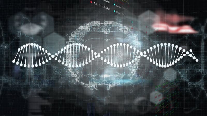 Animation of Digital Screen with Scientific Data, Dna and Brain Stock ...