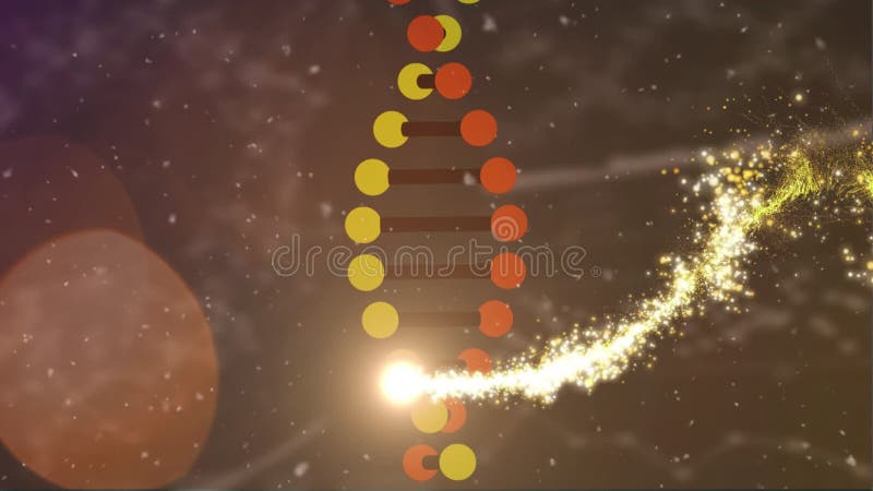 Animation of Dna Chain Rotating Over Brown Background with Lights Stock ...