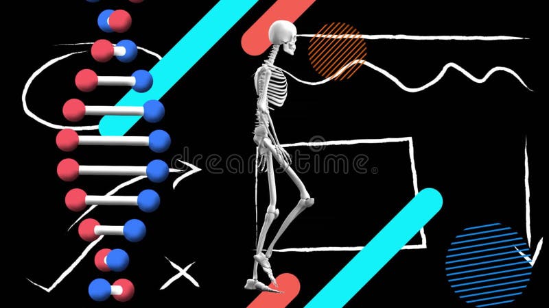 Animation of Dna Chain, Walking Skeleton and Different Shapes on Black ...