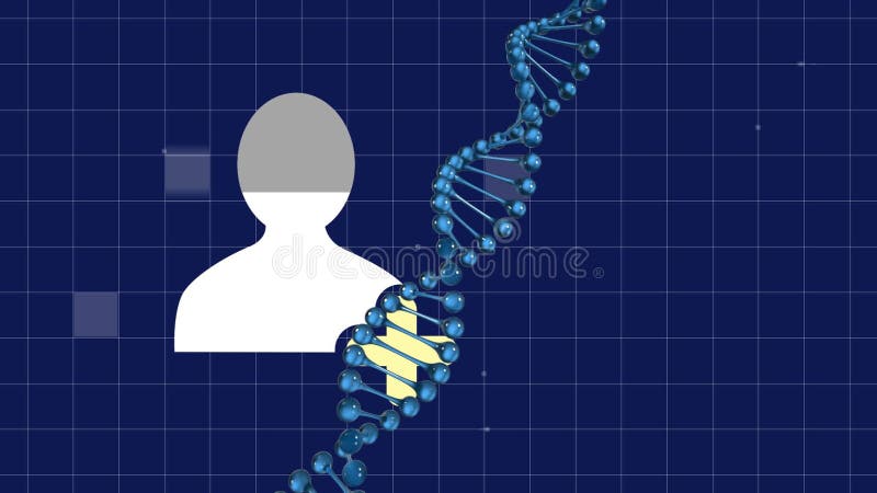 Animation of Dna Helix, Loading Human Representation and Grid Pattern ...