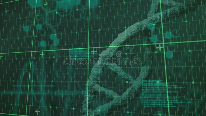 Animation Of Dna Helix Molecule Structures And Computer Language Over