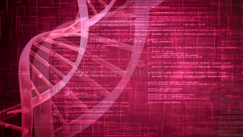 Animation Of Dna Helix Rotating Over Programming Language Over Moving In Loop Stock Video