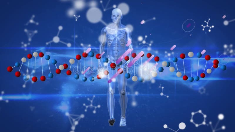 Animation of Dna and Molecular Structures Floating Over Human Body ... Animation of Dna and Molecular Structures Floating Over Human Body ...