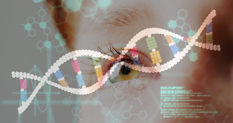 Animation of Dna Strand and Data Processing Over Eye Stock Footage ...