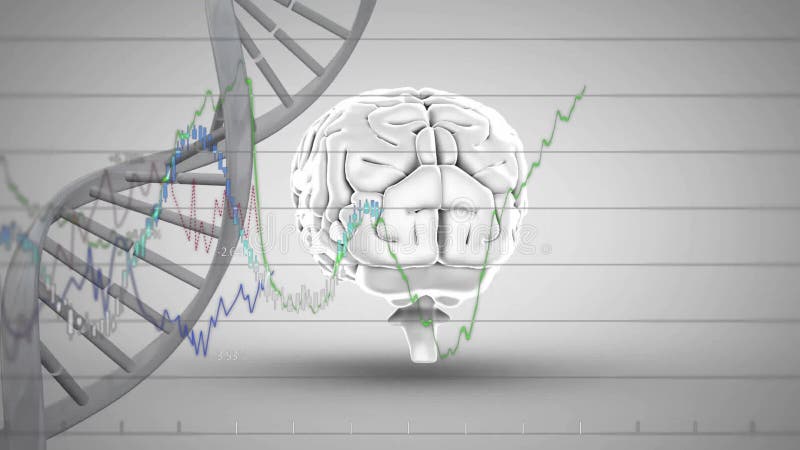 Animation of Dna Strand and Diagrams Over Brain Stock Footage - Video ...